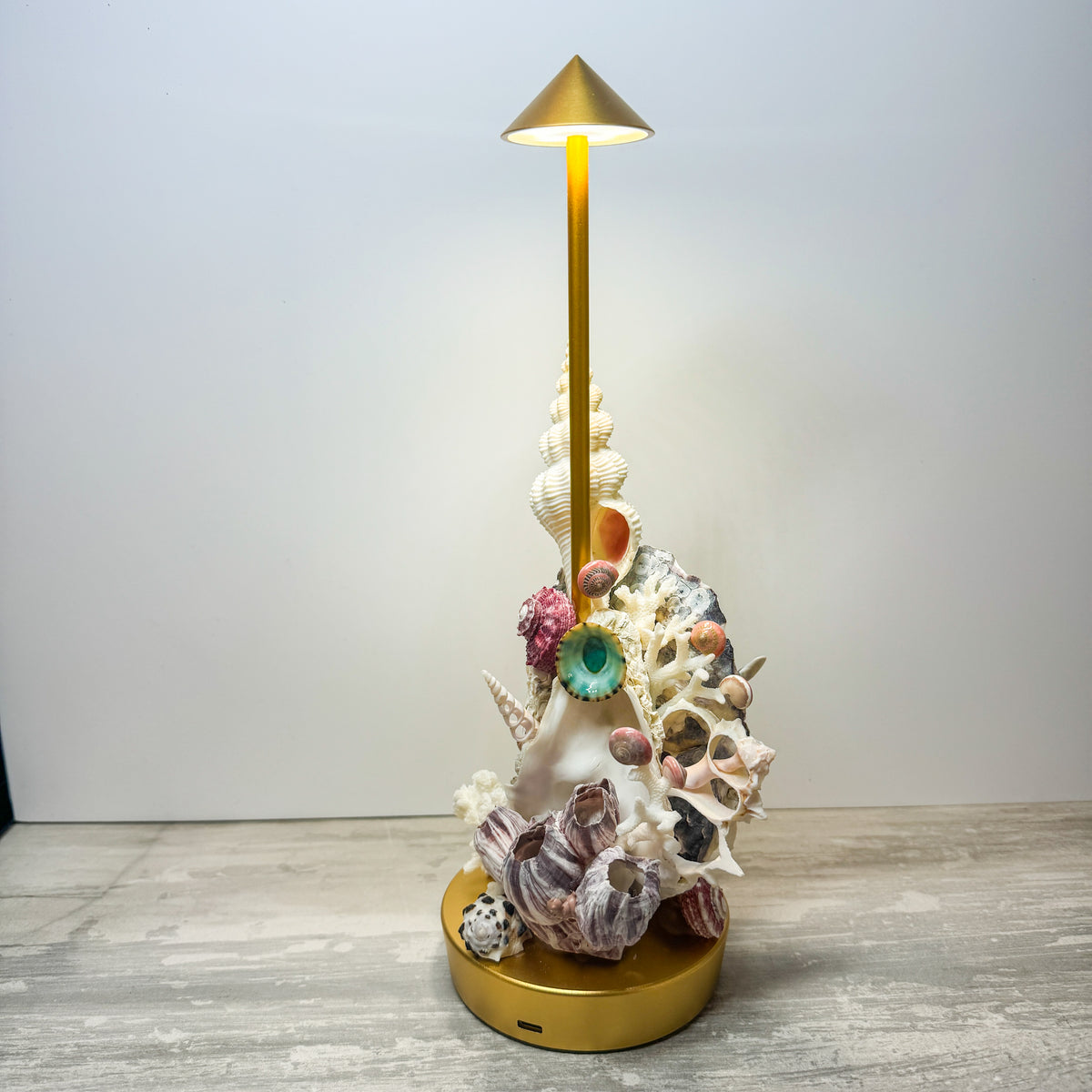 Charcoal Delight | Shuck and Awe | Decorative Shell Wine Glass– Shuck & Awe