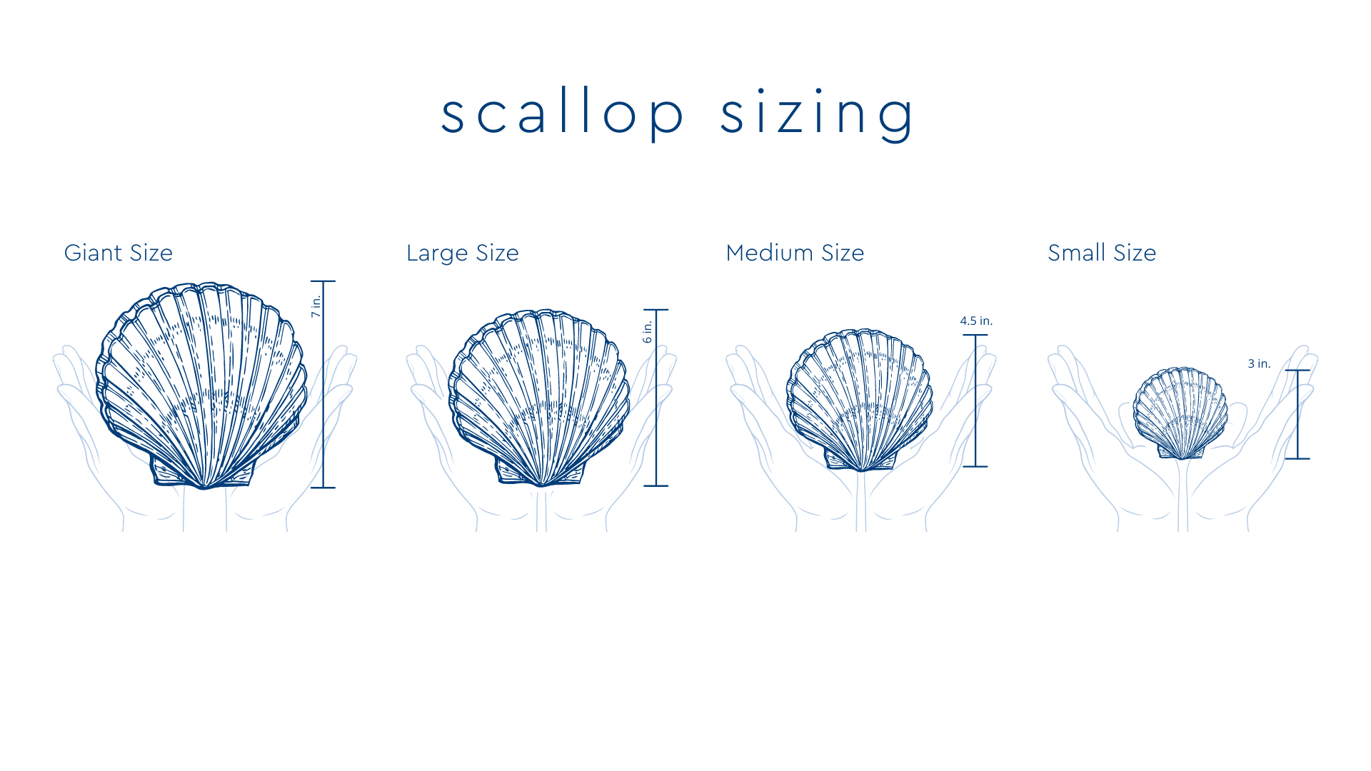 Best Sellers– Shuck & Awe